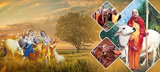 ISKCON Donation - Delhi Temple